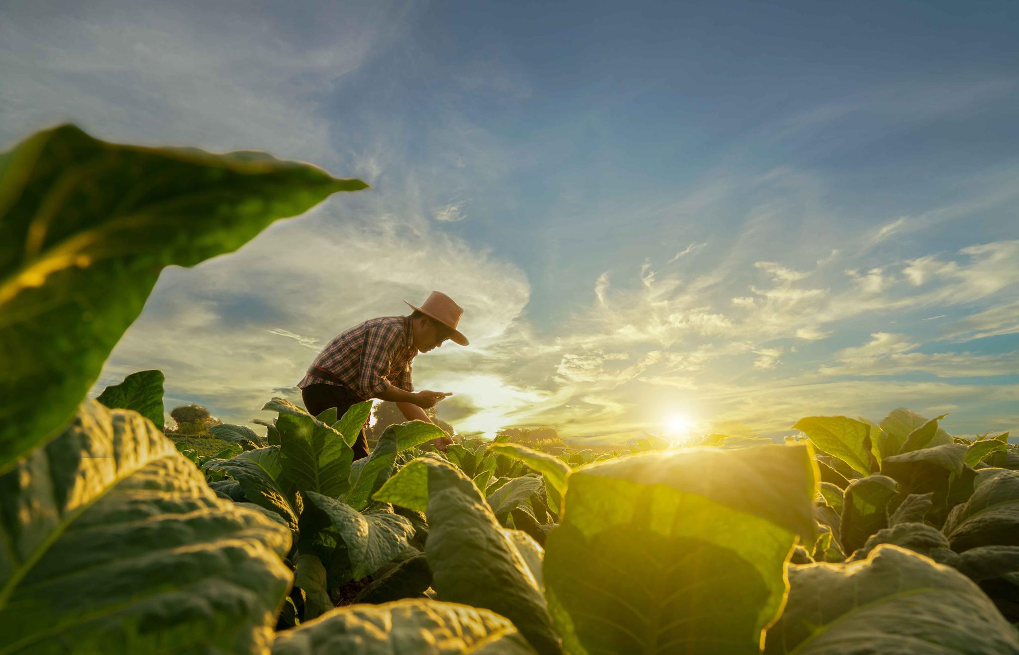 Sign In | Global Farms